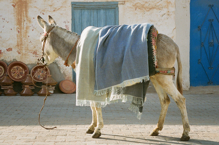 YOOMEE – YOOMEE STORE